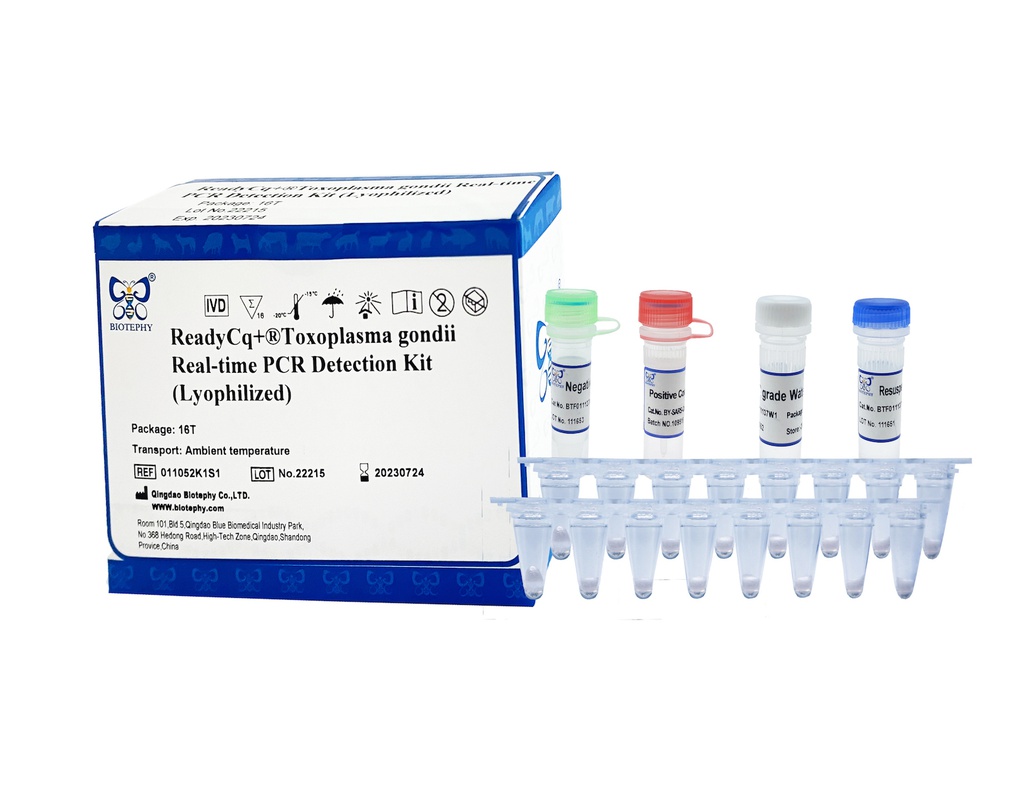 Toxoplasma gondii Real-time PCR Detection Kit (Lyophilized)