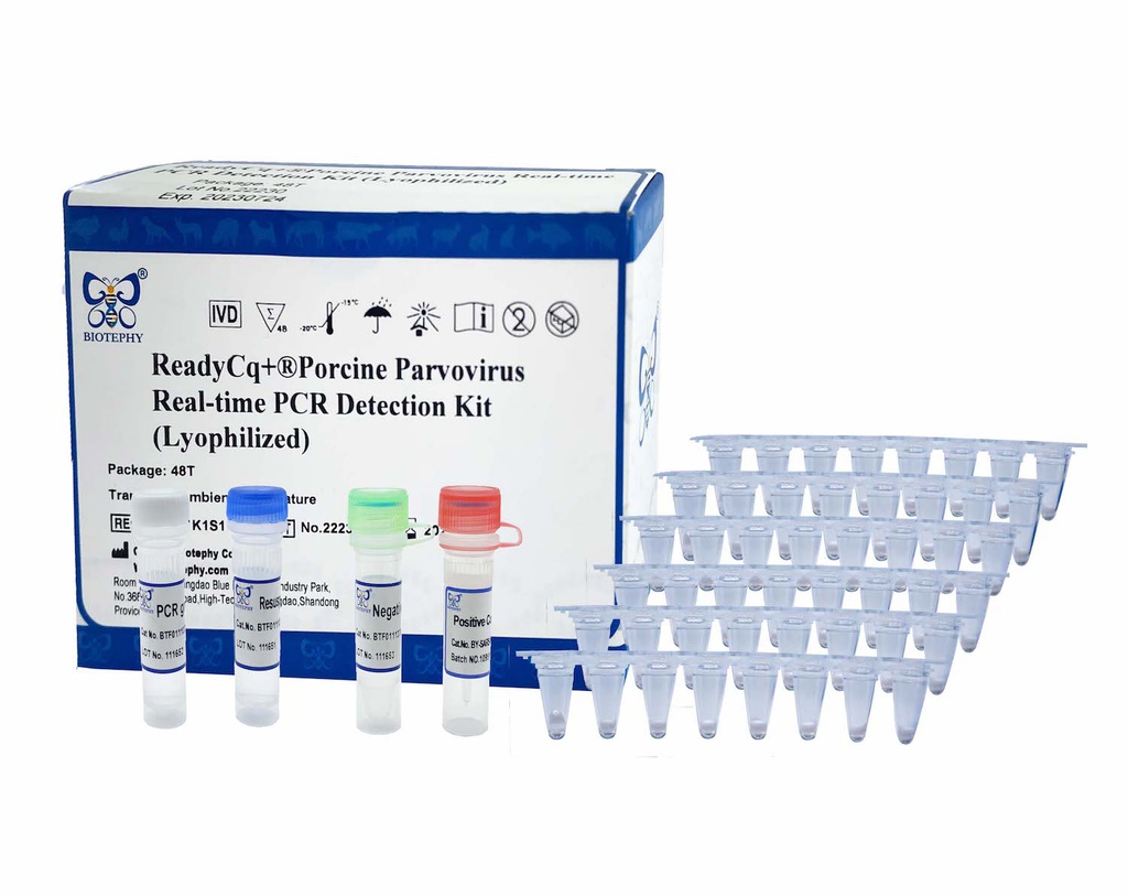 ReadyCq+®Porcine Parvovirus Real-time PCR Detection Kit (Lyophilized ...